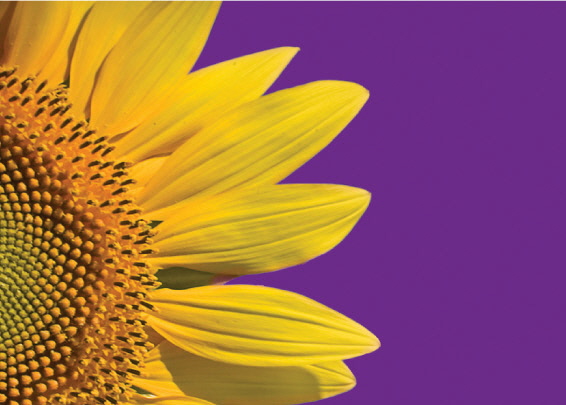 Michelle Mook - ActionCOACH