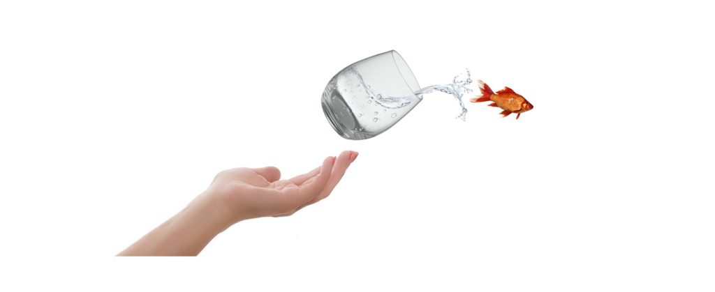 Anthony Sargent, Managing Director, FishNeedWater - ActionCOACH