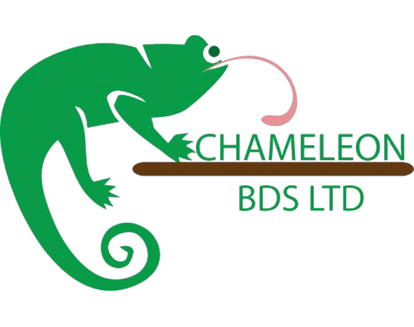 Chameleon - Partnership Referral Coaching Session